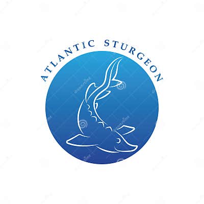 Sturgeon logo vector stock vector. Illustration of symbol - 277468294