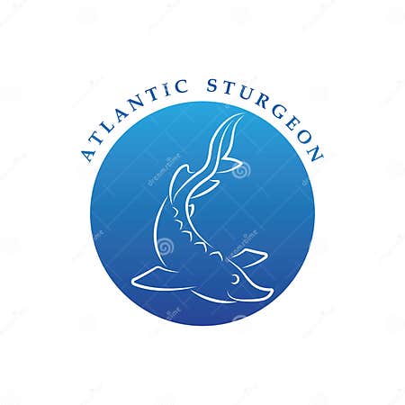 Sturgeon logo vector stock vector. Illustration of symbol - 277468294