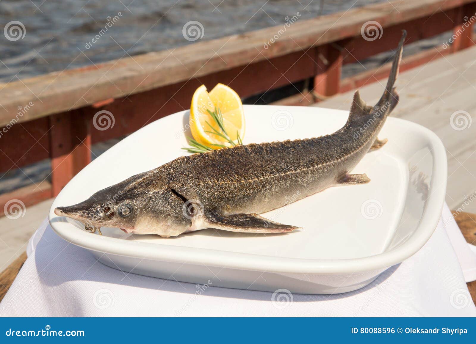 Sturgeon Roasted on a Plate Stock Photo - Image of freshwater, roasted ...
