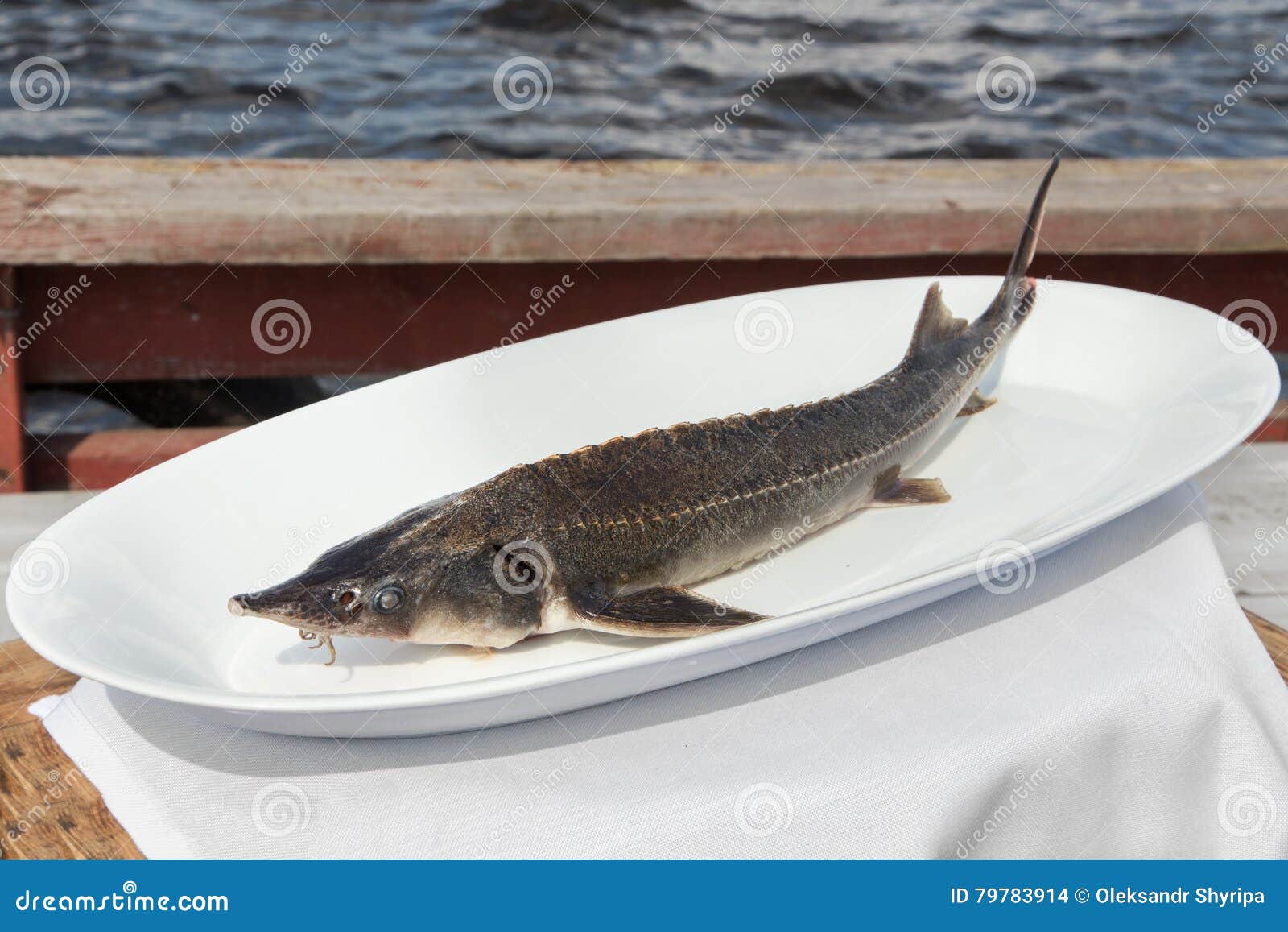 Sturgeon Roasted on a Plate Stock Photo - Image of nature, baikal: 79783914