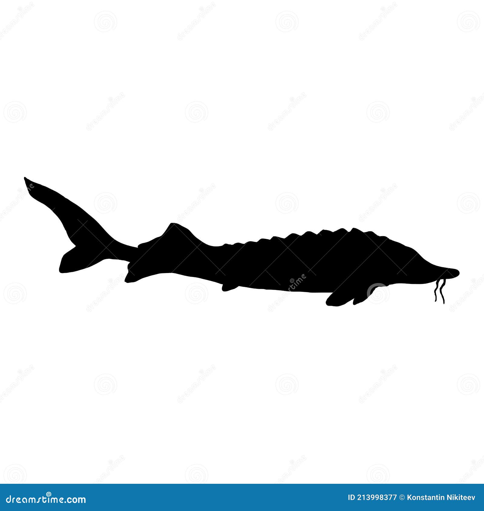 Sturgeon Silhouette Fish Vector Illustration Stock Vector ...