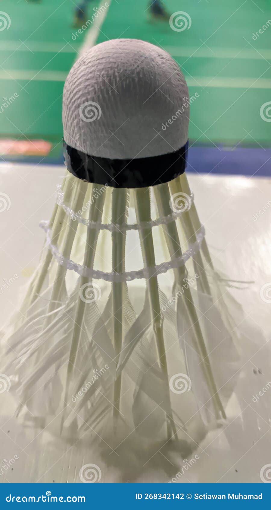 Stutelkok Former Broken Badminton Game Stock Photo - Image of broken ...