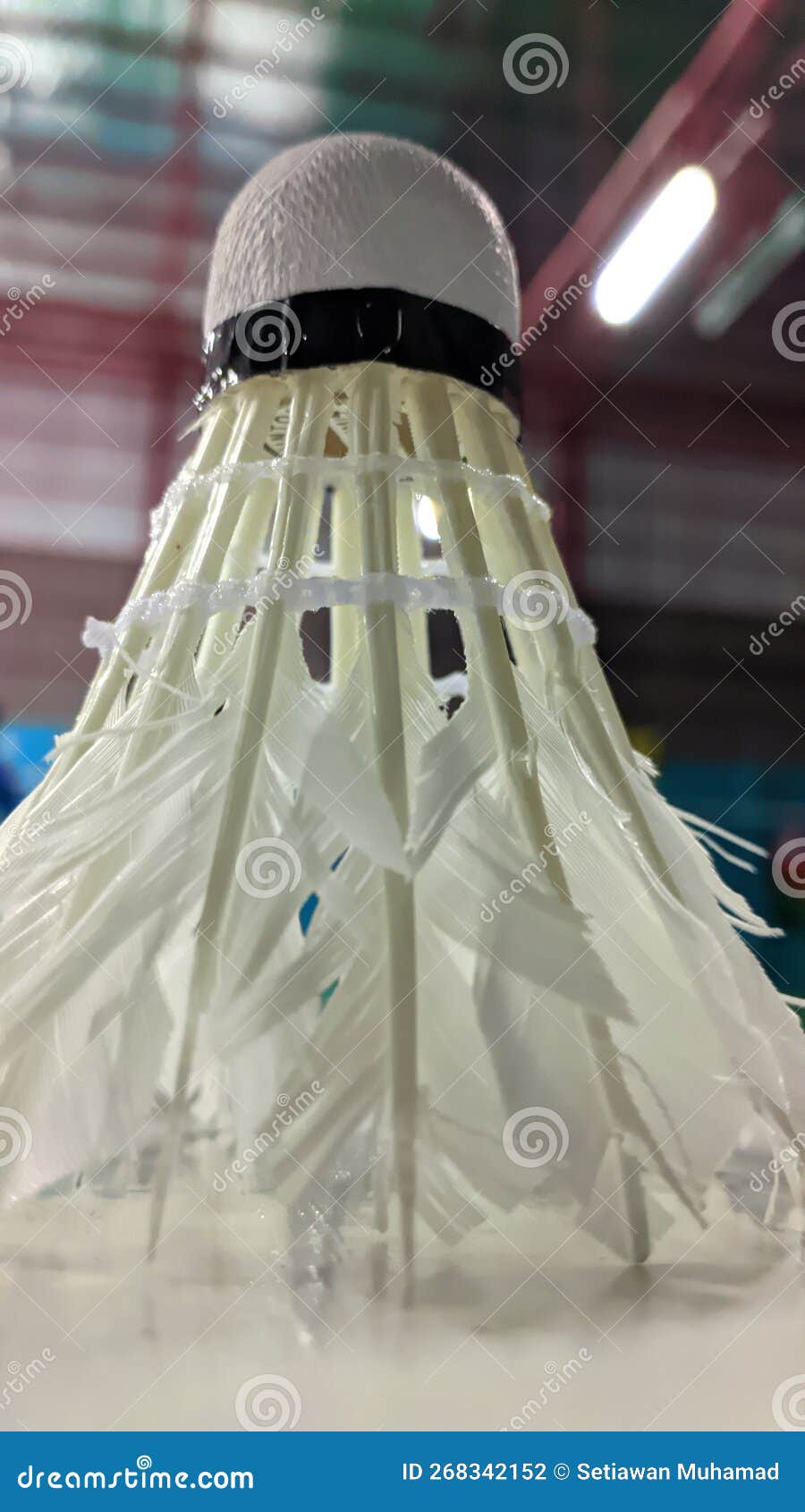 Broken Badminton Racket Royalty-Free Stock Photography | CartoonDealer ...
