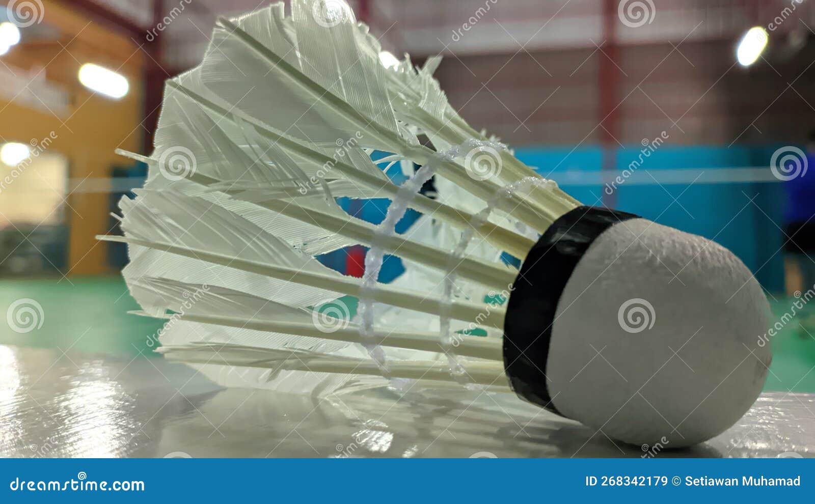 Broken Badminton Racket Royalty-Free Stock Photography | CartoonDealer ...