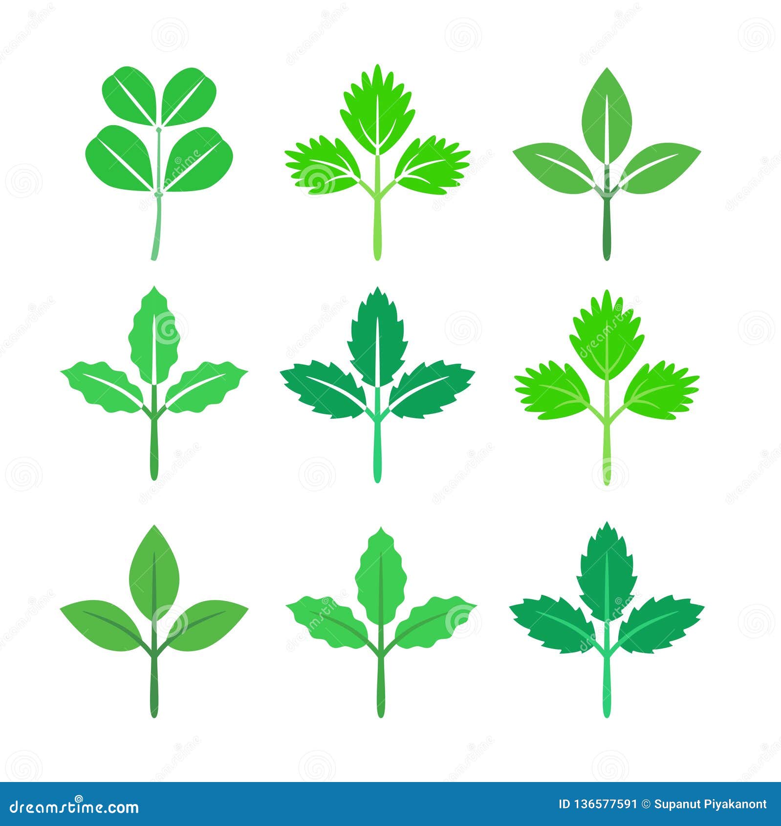 Leaf icon set stock vector. Illustration of branch, design - 136577591