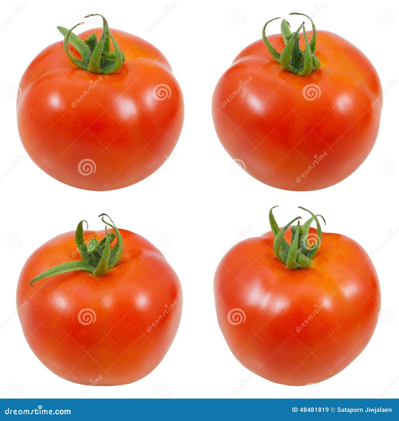 4 style tomato stock image. Image of food, tomatoes, plant - 48481819