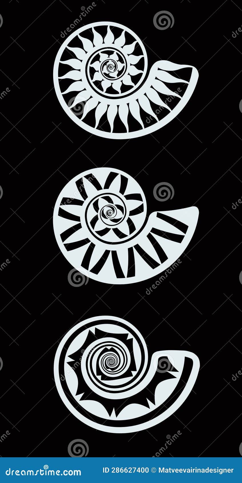 Stylish Background with Decorative Shells, Graphic Elements and Pattern ...