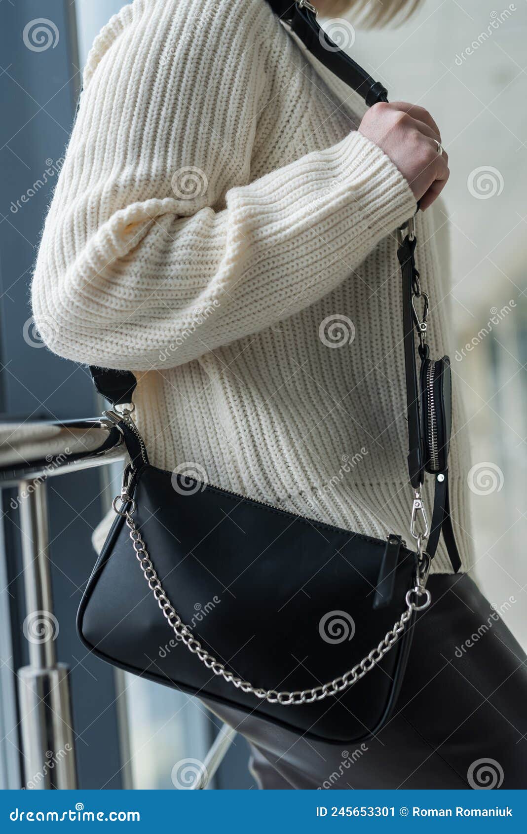 Stylish Beautiful Accessory in the Form of a Multi-functional Bag in a ...