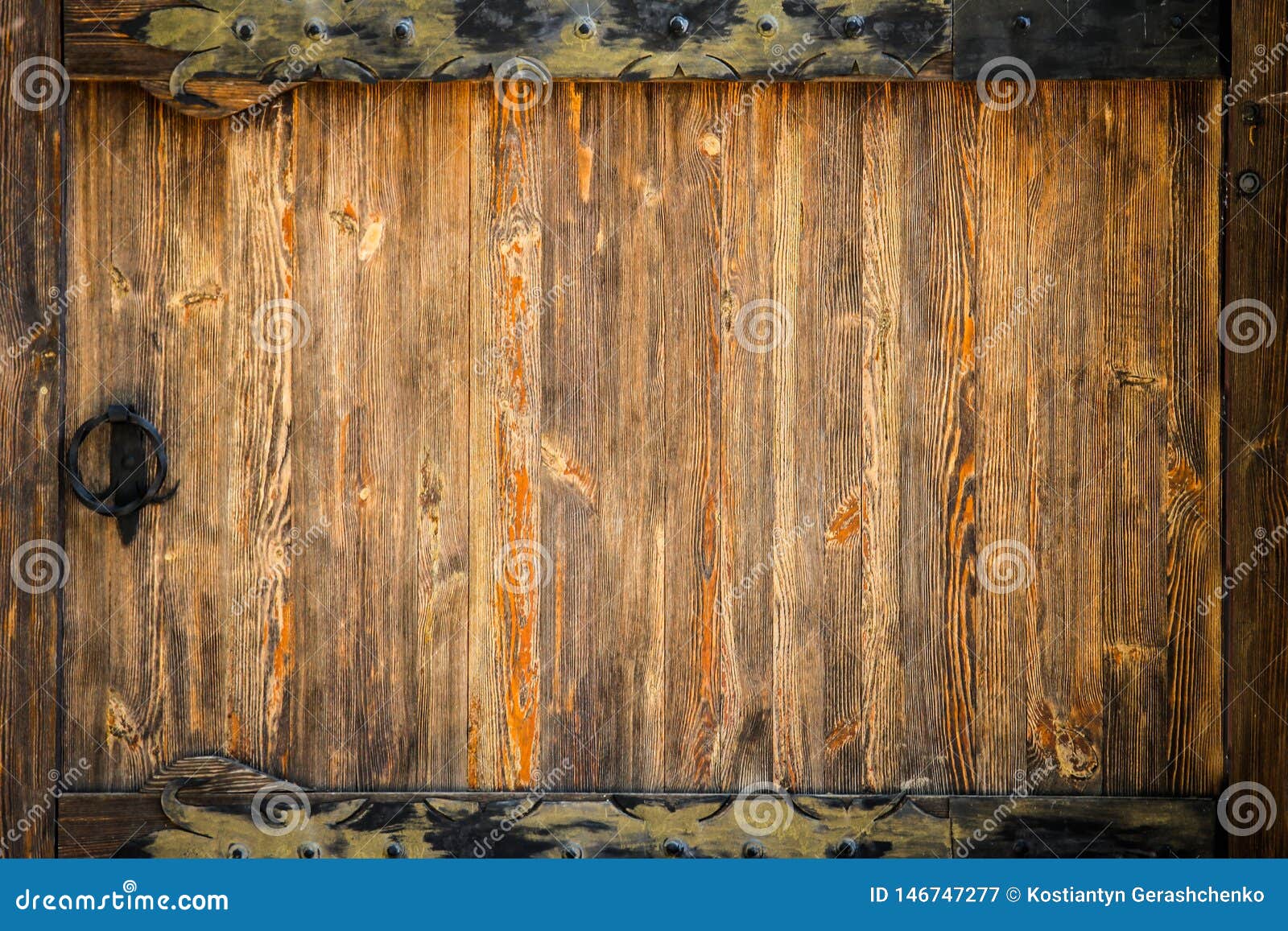 Stylish Beautiful Old Gate in the Nature Park Stock Image - Image of ...