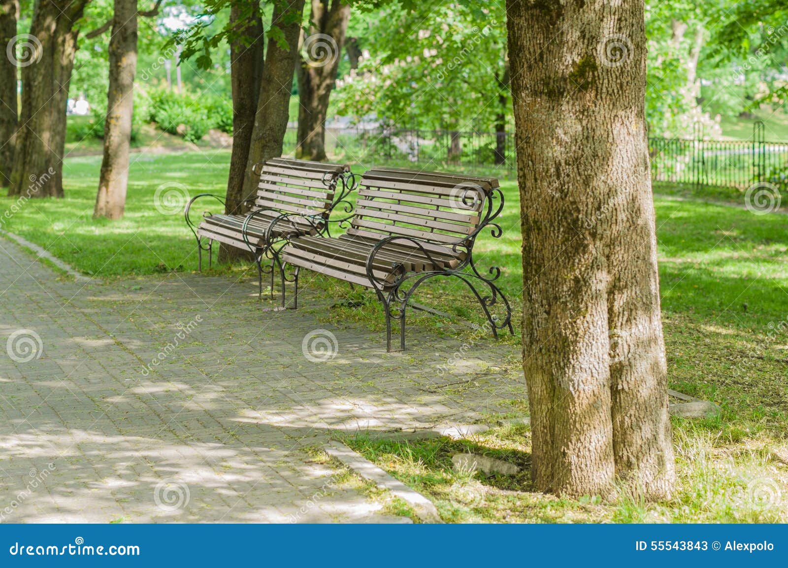 Stylish Benches in Summer Park Stock Image - Image of relax, rest: 55543843