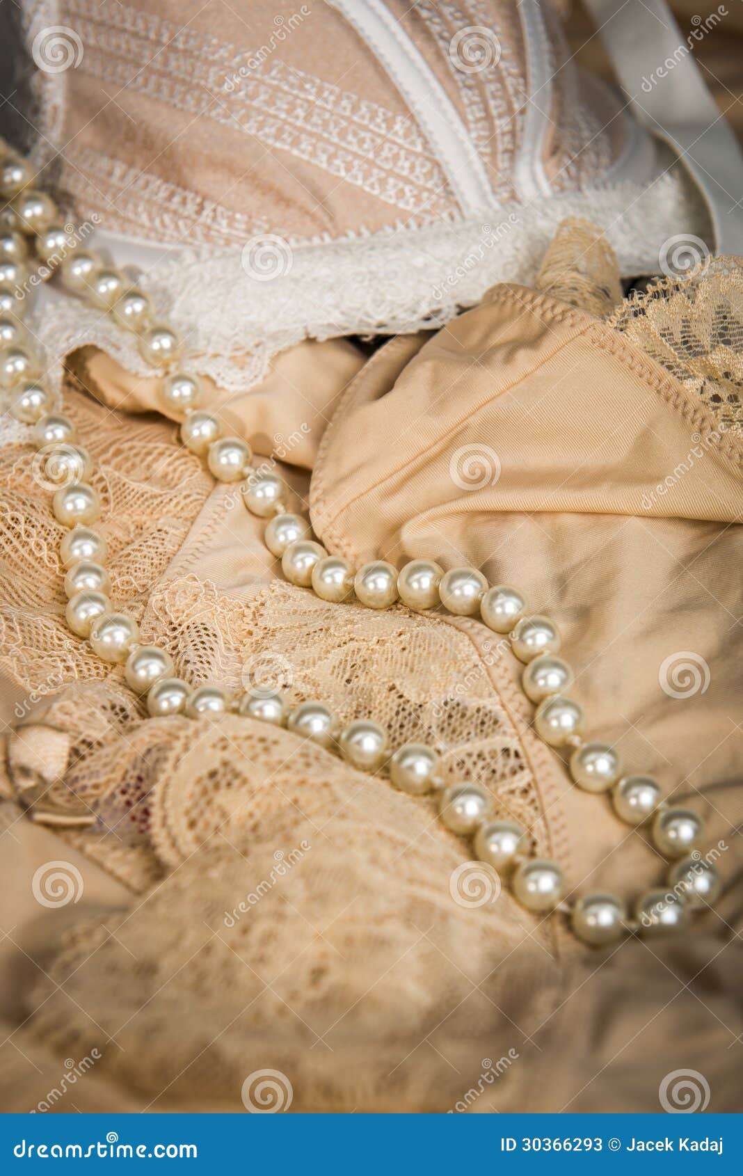 Stylish Bra and Femine Underware Stock Image - Image of pattern, bust ...