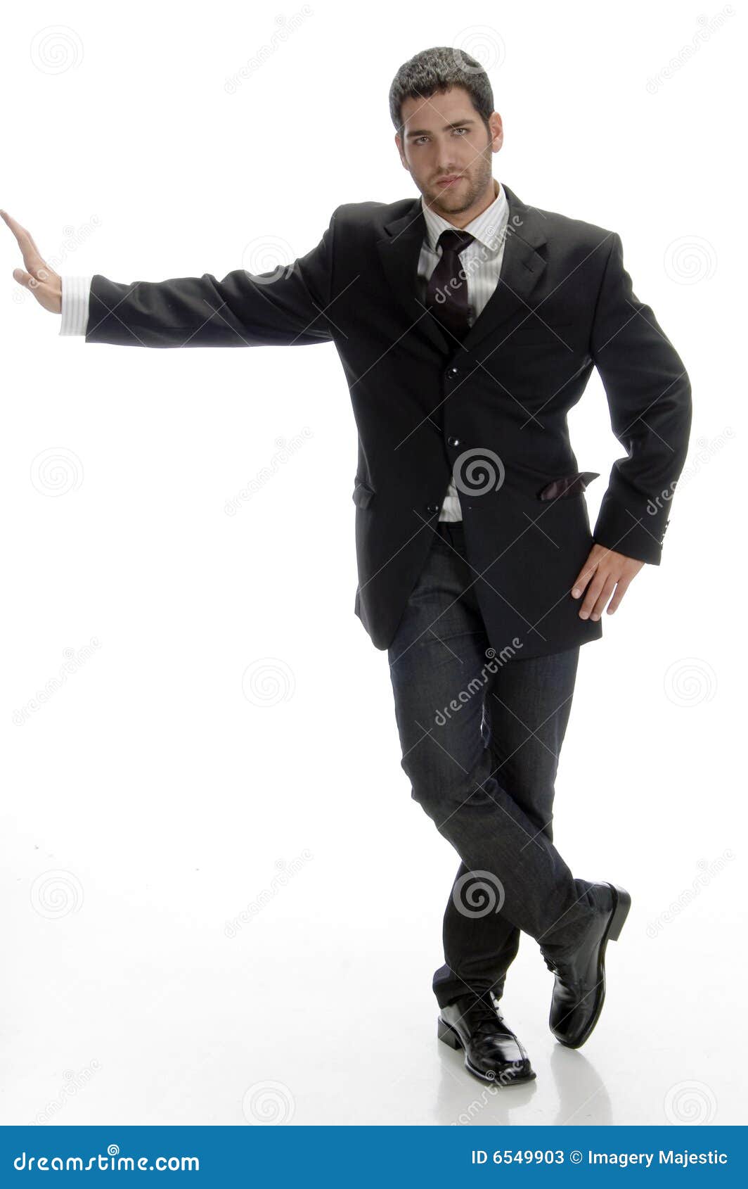 Stylish businessman posing stock image. Image of career - 6549903