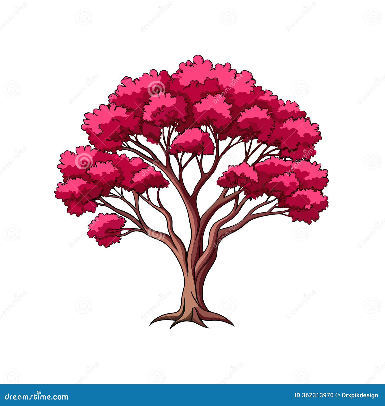 Bold Crape Myrtle Tree Illustration On White Background Royalty-Free ...