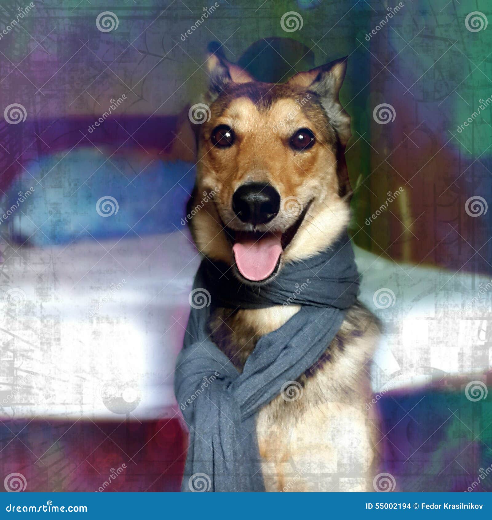 Stylish dog stock photo. Image of happy, stylish, eyes - 55002194