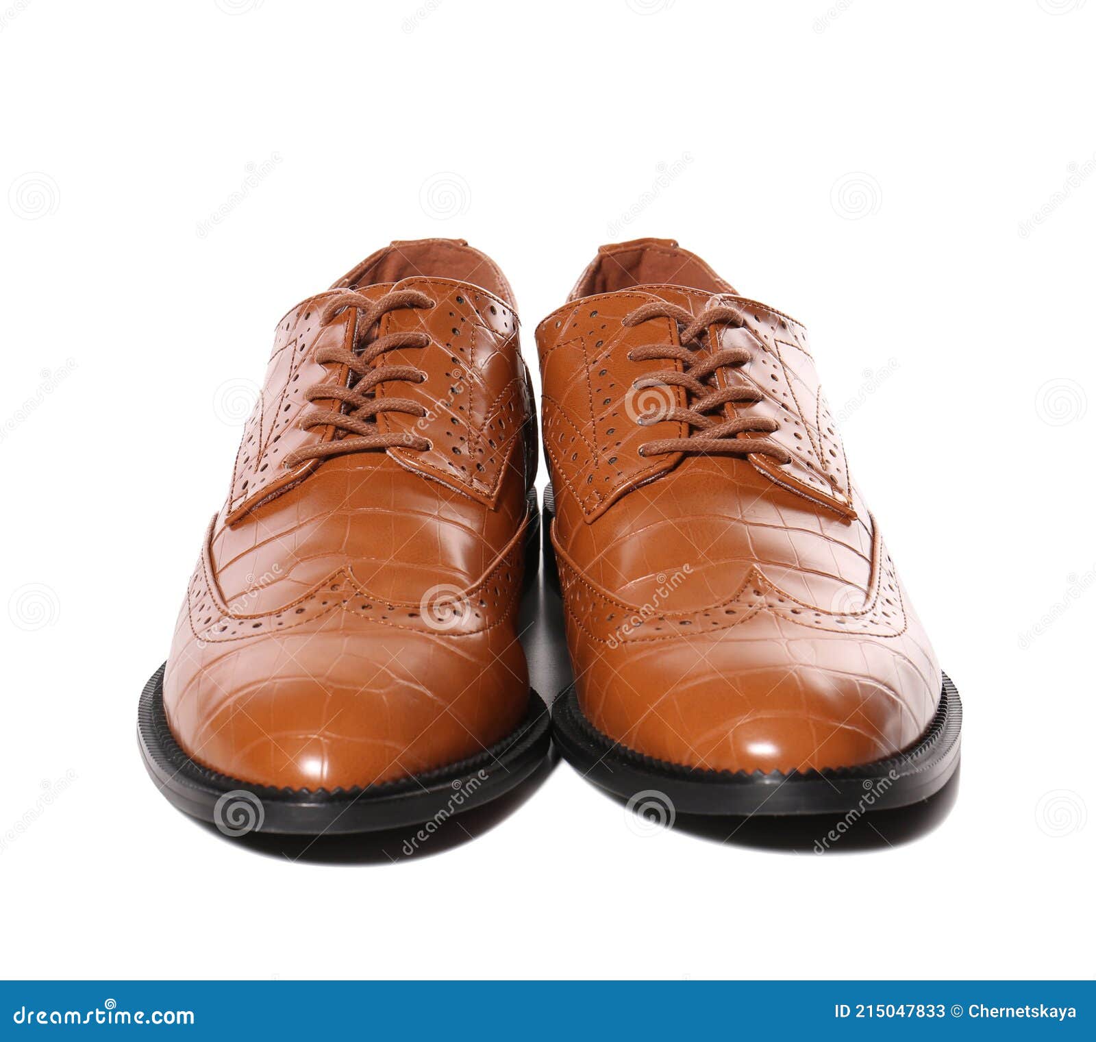 Stylish Elegant Leather Shoes Isolated on White Stock Image - Image of ...