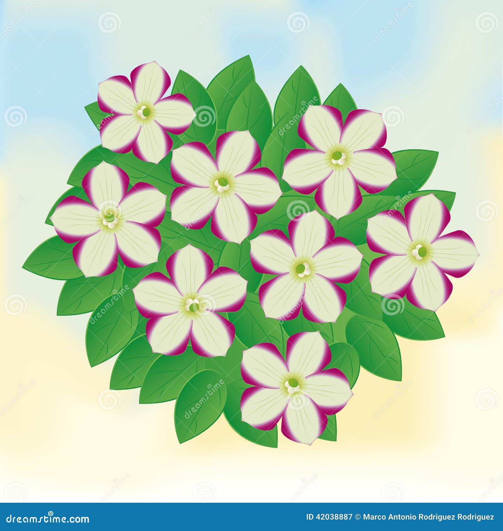 Stylish Flower Illustration Isolated on Background Stock Illustration ...