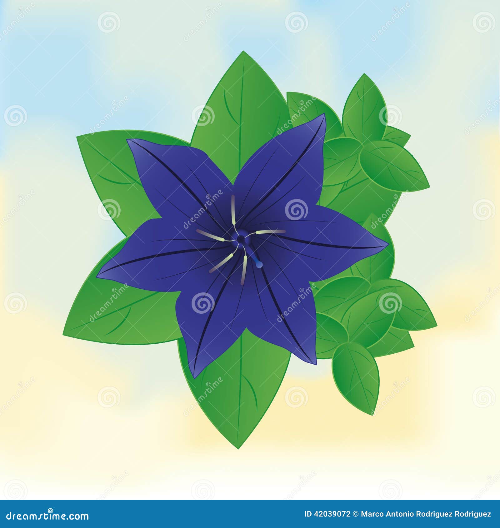 Stylish Flower Illustration Isolated on Background Stock Illustration ...