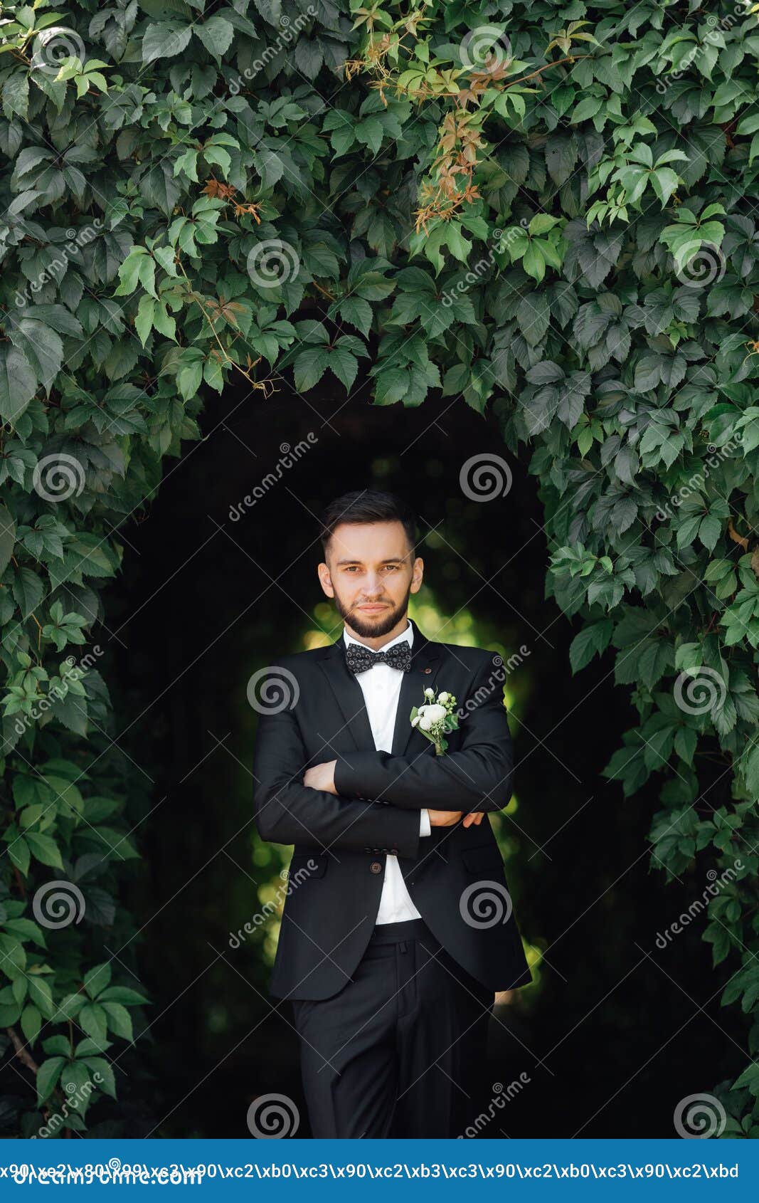 Stylish Groom Standing Looking at Camera Stock Image - Image of ...