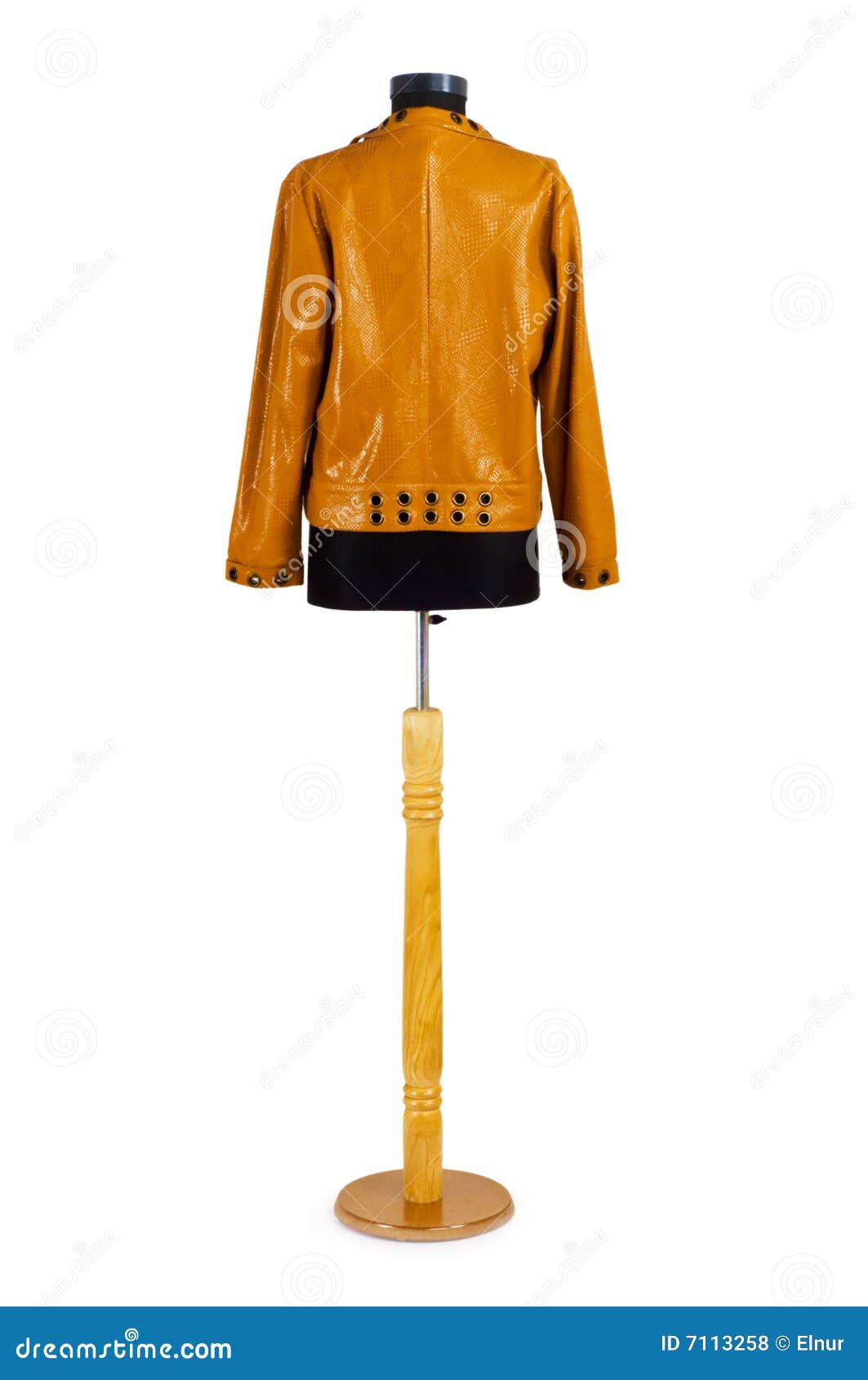 Stylish jacket isolated stock photo. Image of hanger, fashion - 7113258
