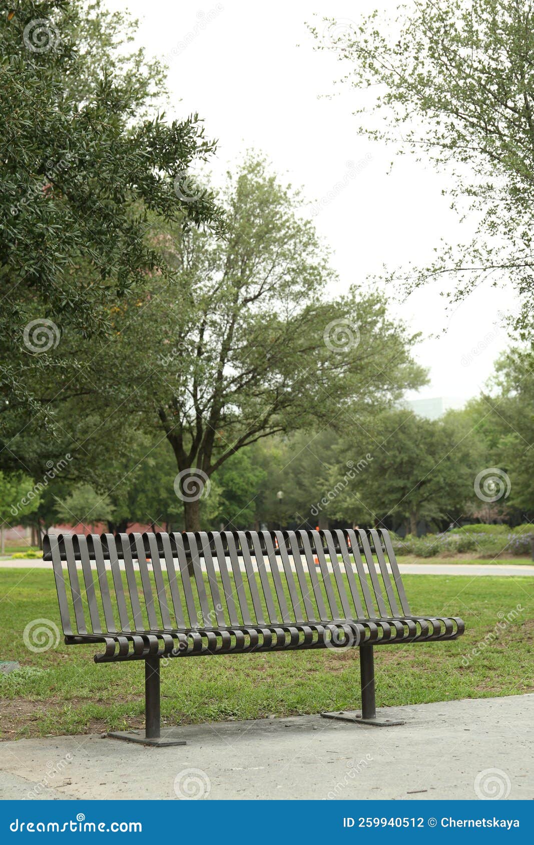 Stylish Metal Bench in Park on Sunny Day Stock Photo - Image of green ...