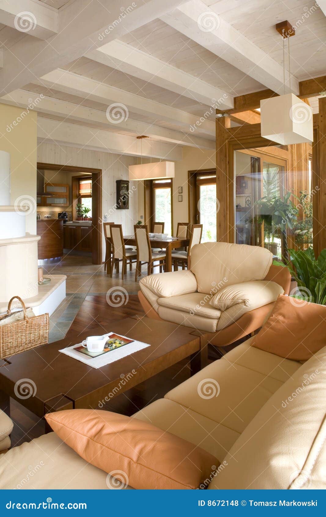 Stylish Modern Living Room. Stock Photo - Image of flooring ...