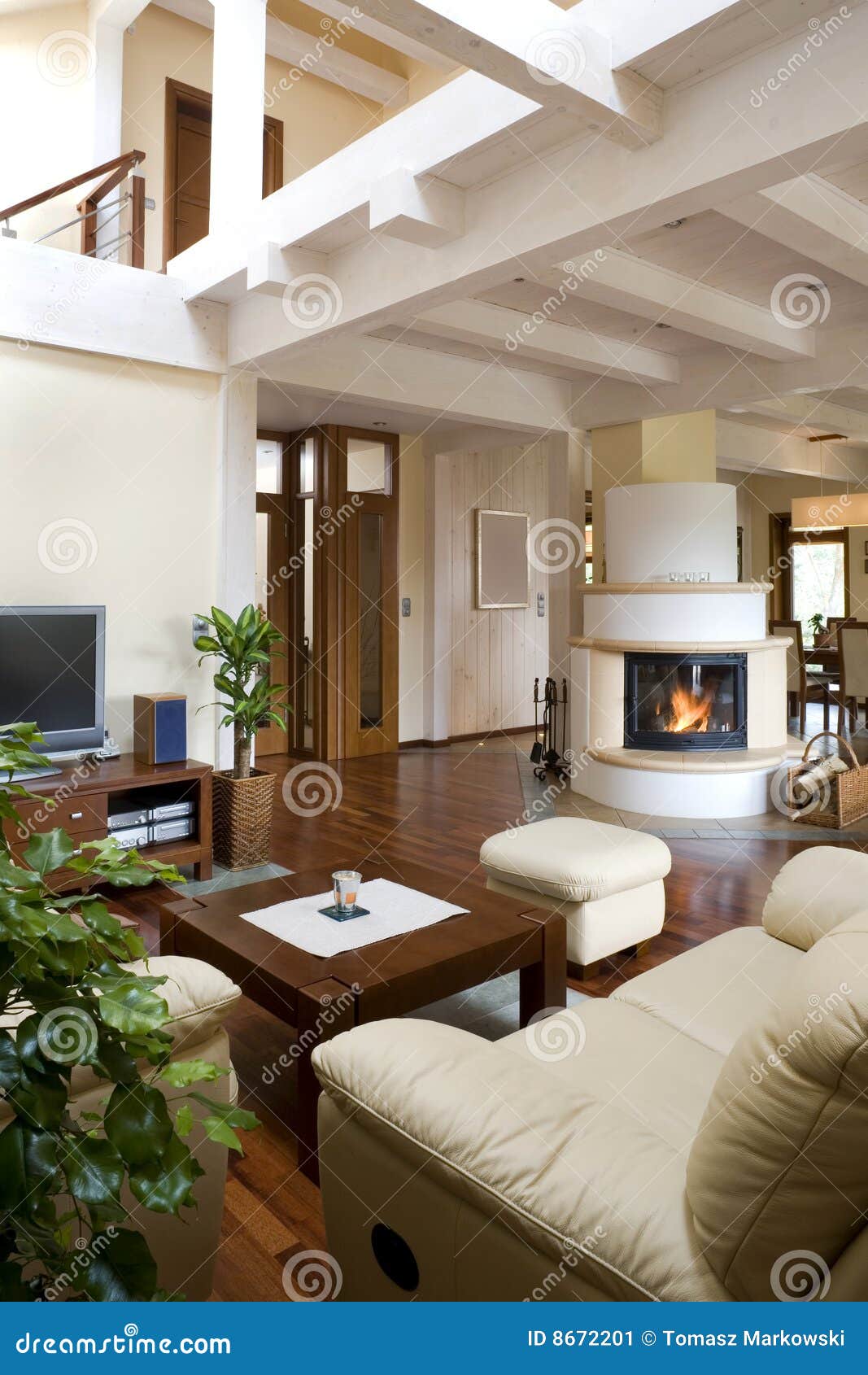 Stylish Modern Living Room. Stock Image - Image of details, close: 8672201