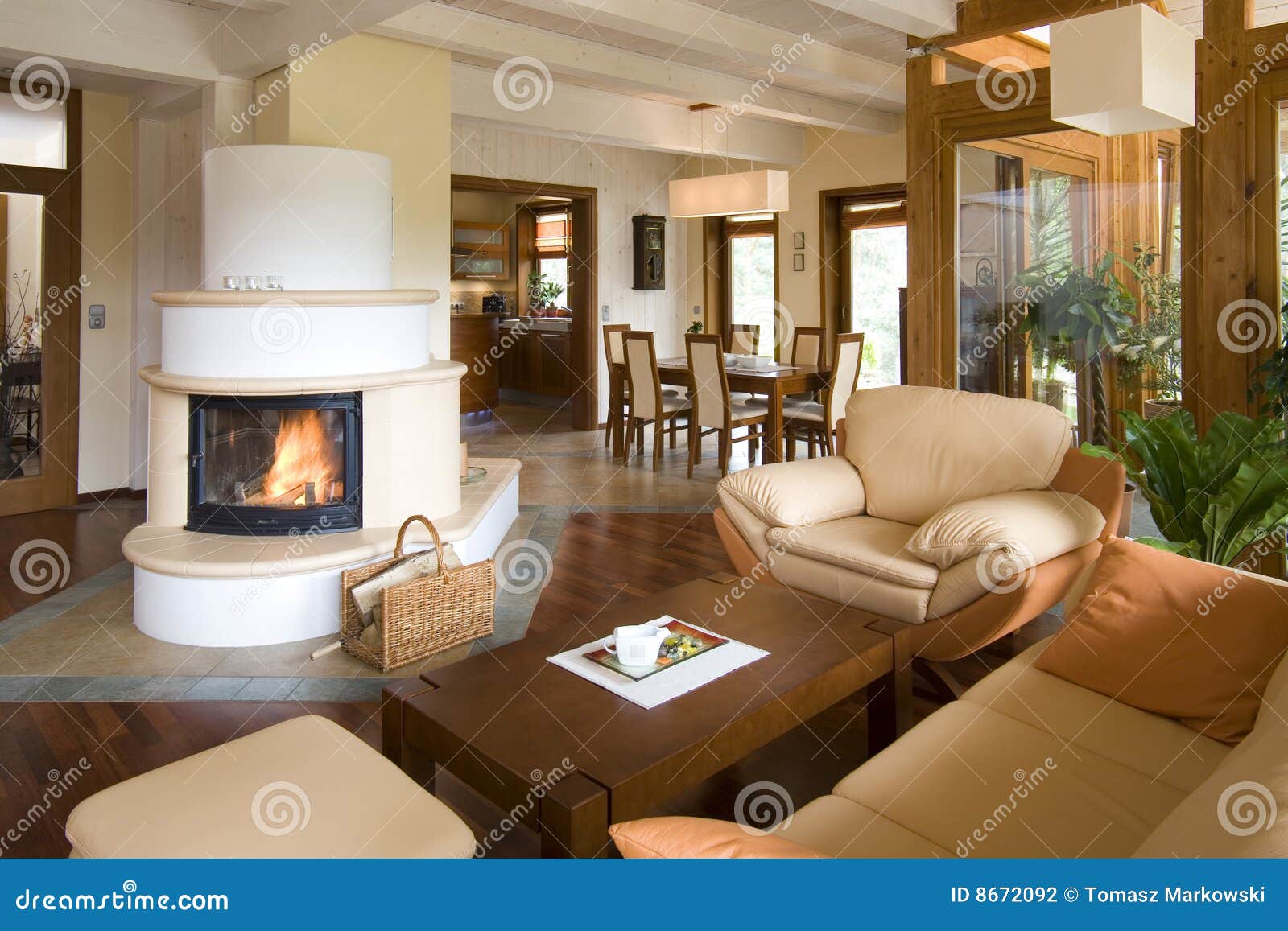 Stylish Modern Living Room with Fireplace Stock Photo - Image of modern ...