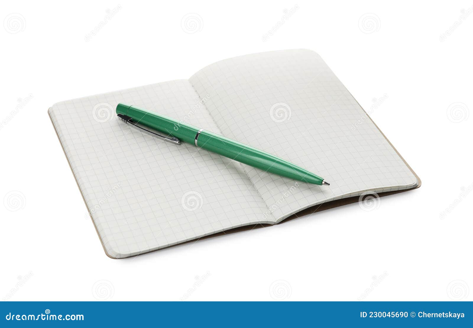 Stylish Notebook with Blank Sheets and Pen Isolated on White Stock ...