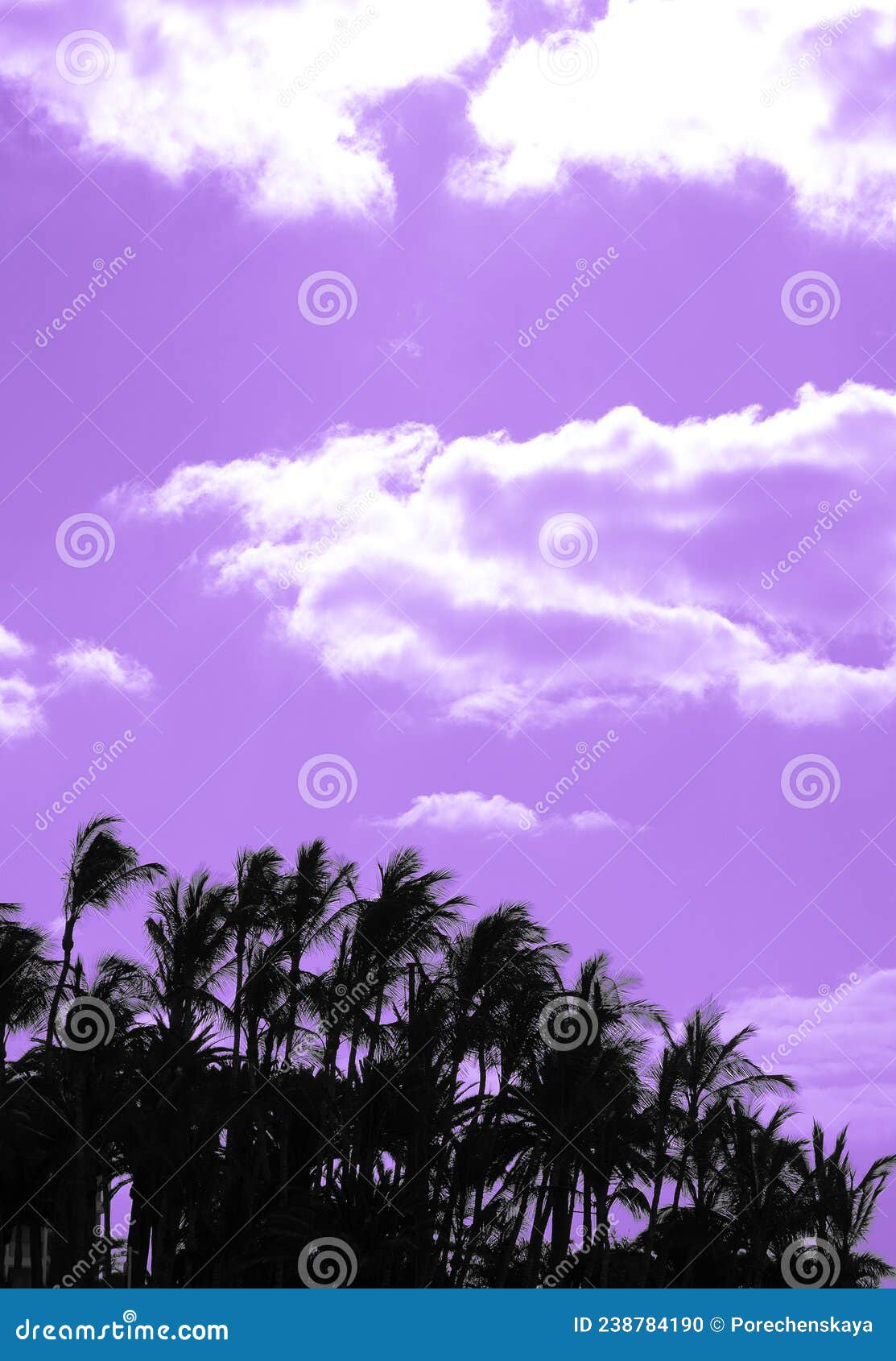 Stylish Purple Vacation Wallpaper. Palm and Sky Creative Background ...