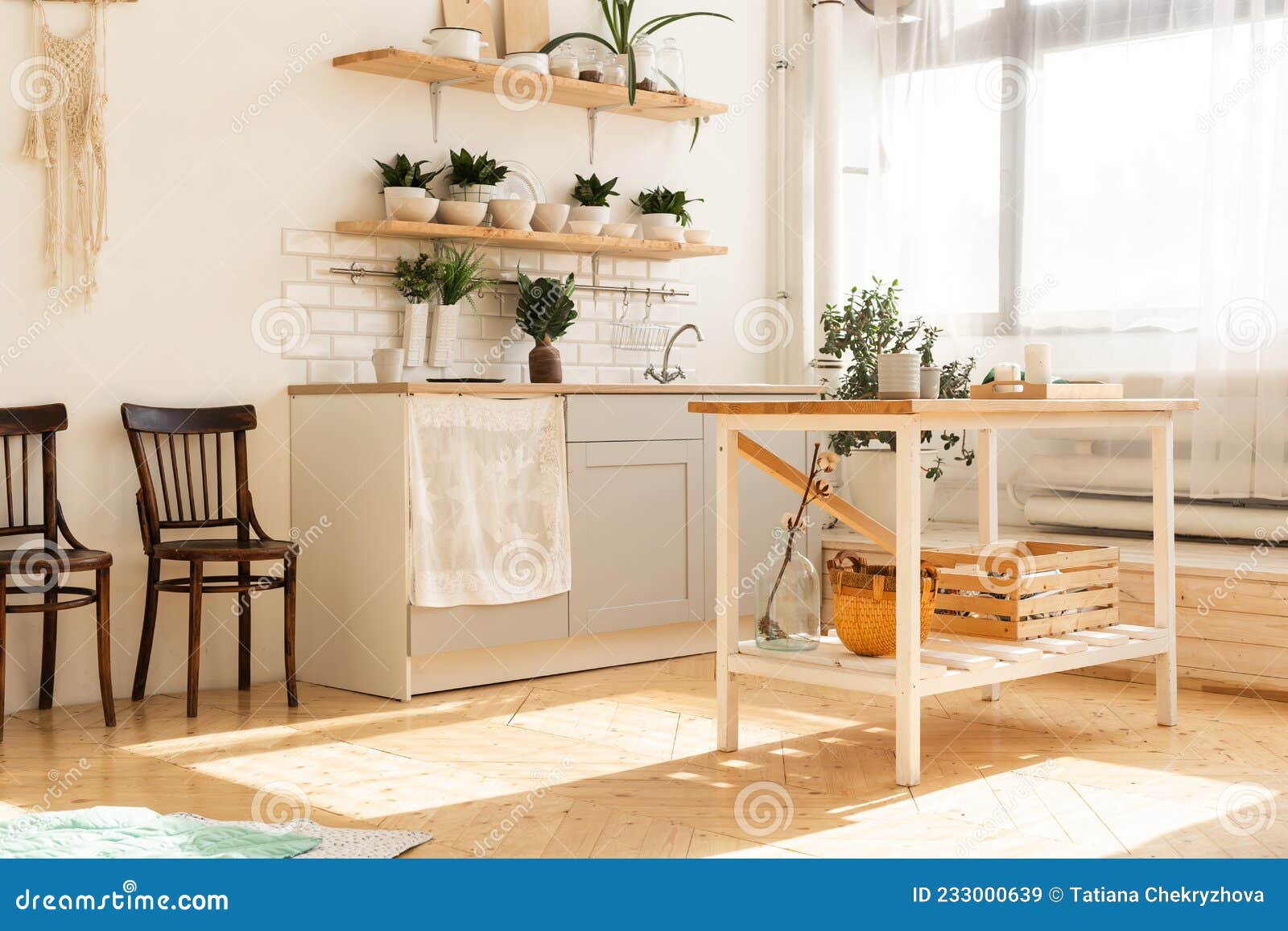 Stylish Scandinavian Open Space with Kitchen Accessories and Plants ...