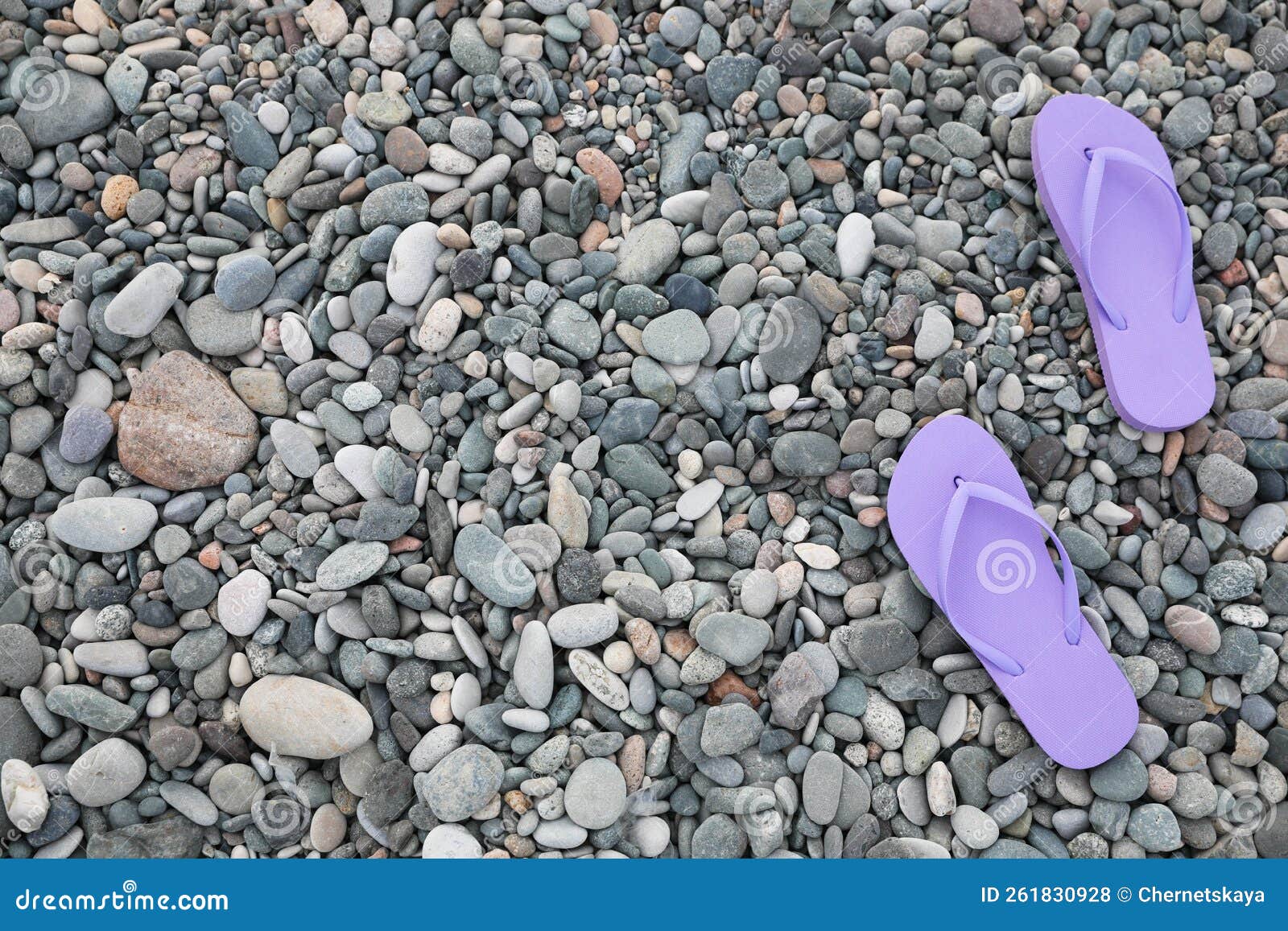 Stylish Violet Flip Flops on Pebble Seashore, Top View. Space for Text ...