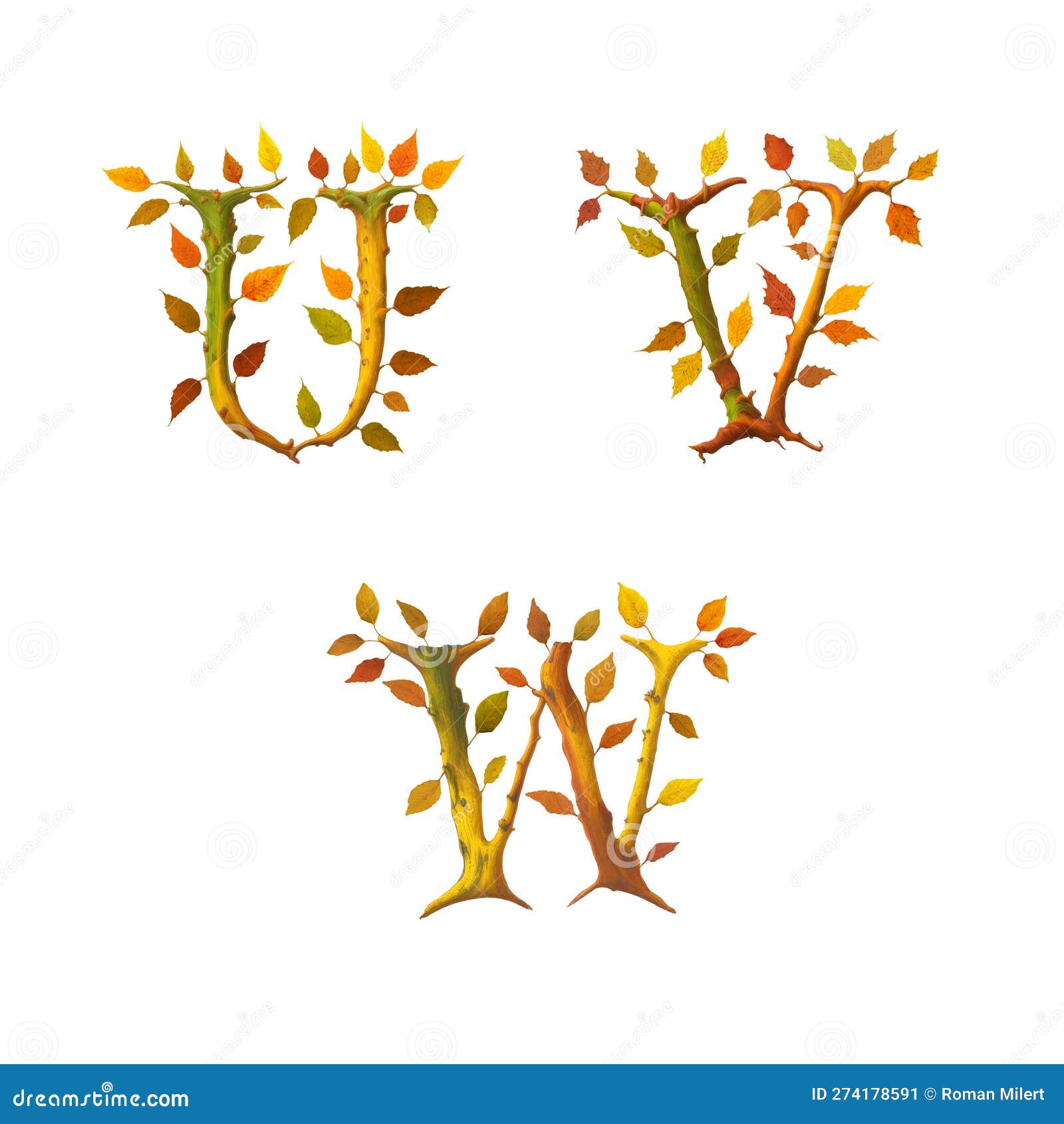 Stylized Autumn Leaf Tree Alphabet - Letters U-W Stock Illustration ...