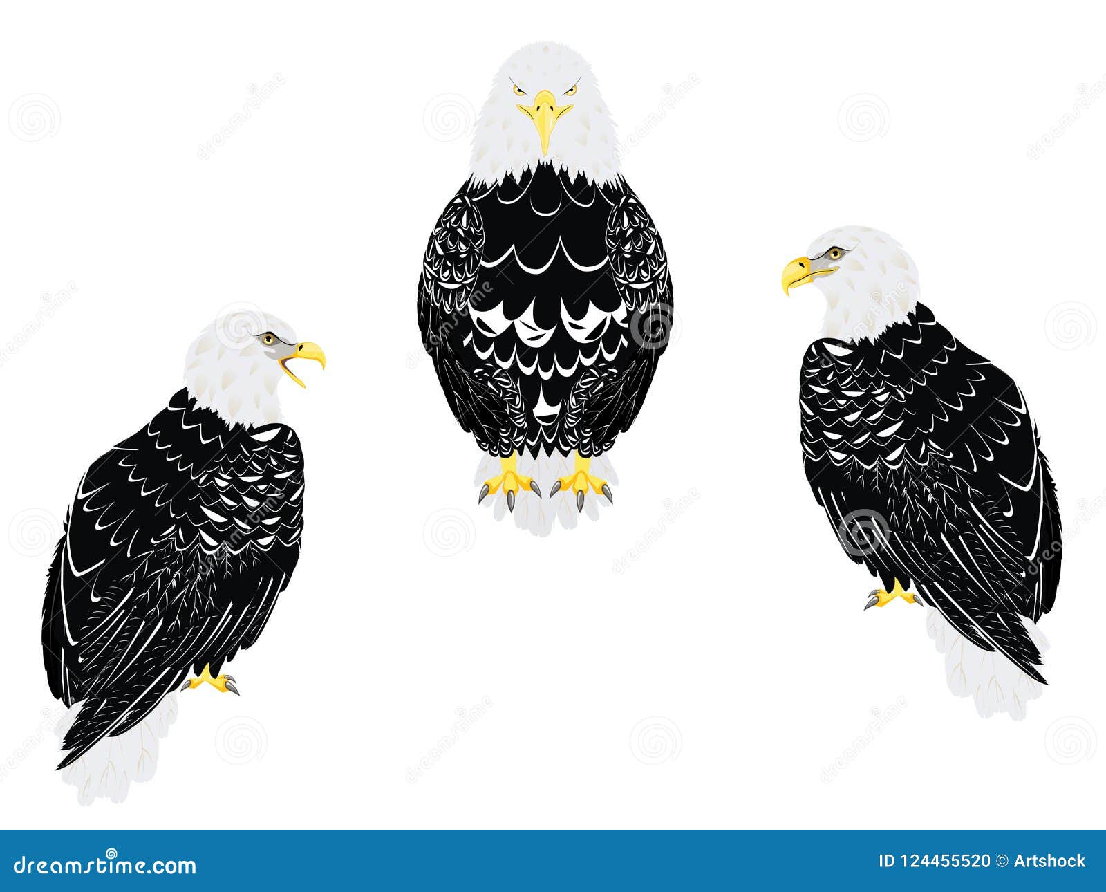 Stylized bald eagle stock vector. Illustration of independence - 124455520