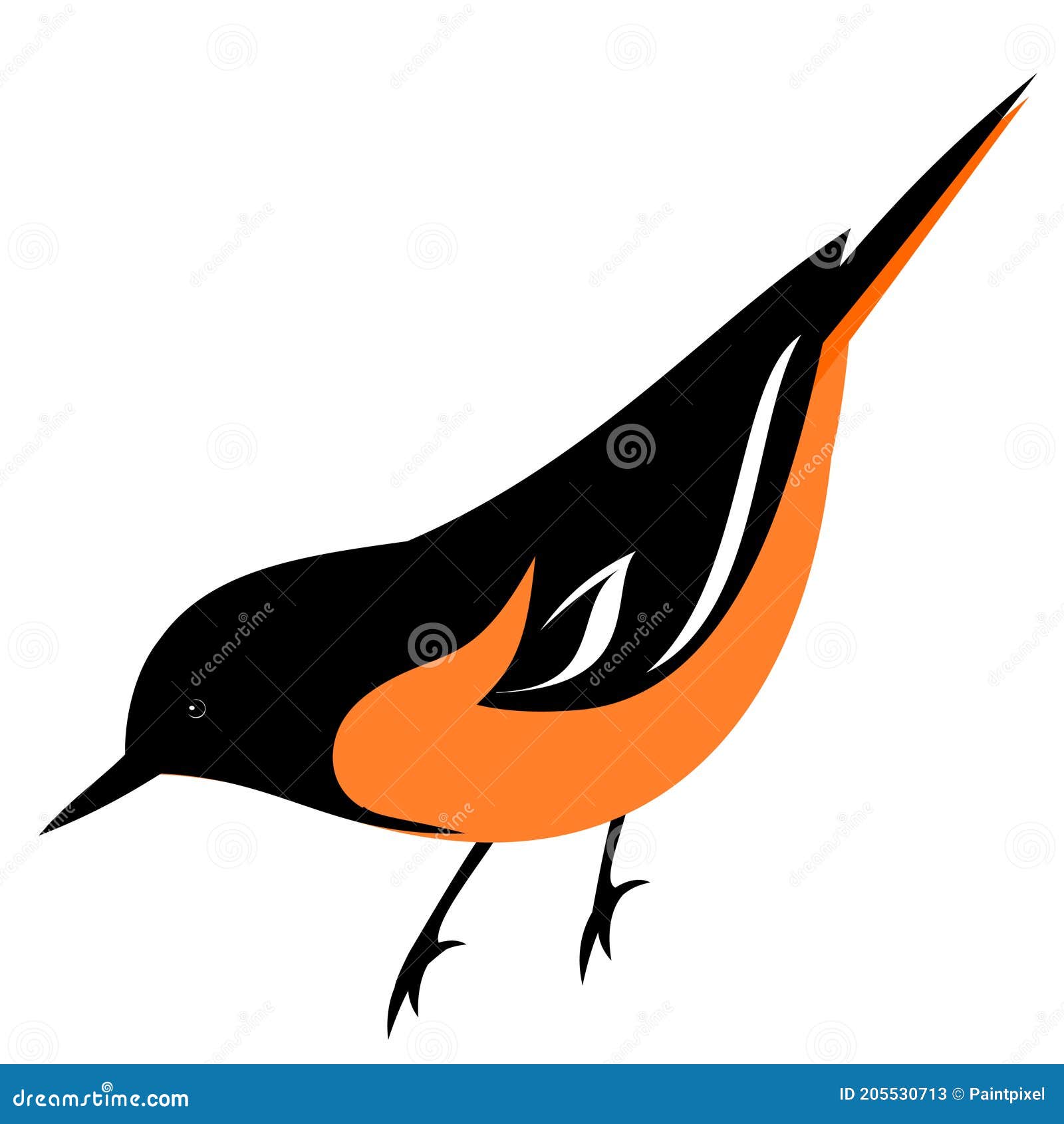 The Baltimore Oriole. Watercolor Hand Painted Drawing Of Bird Royalty ...