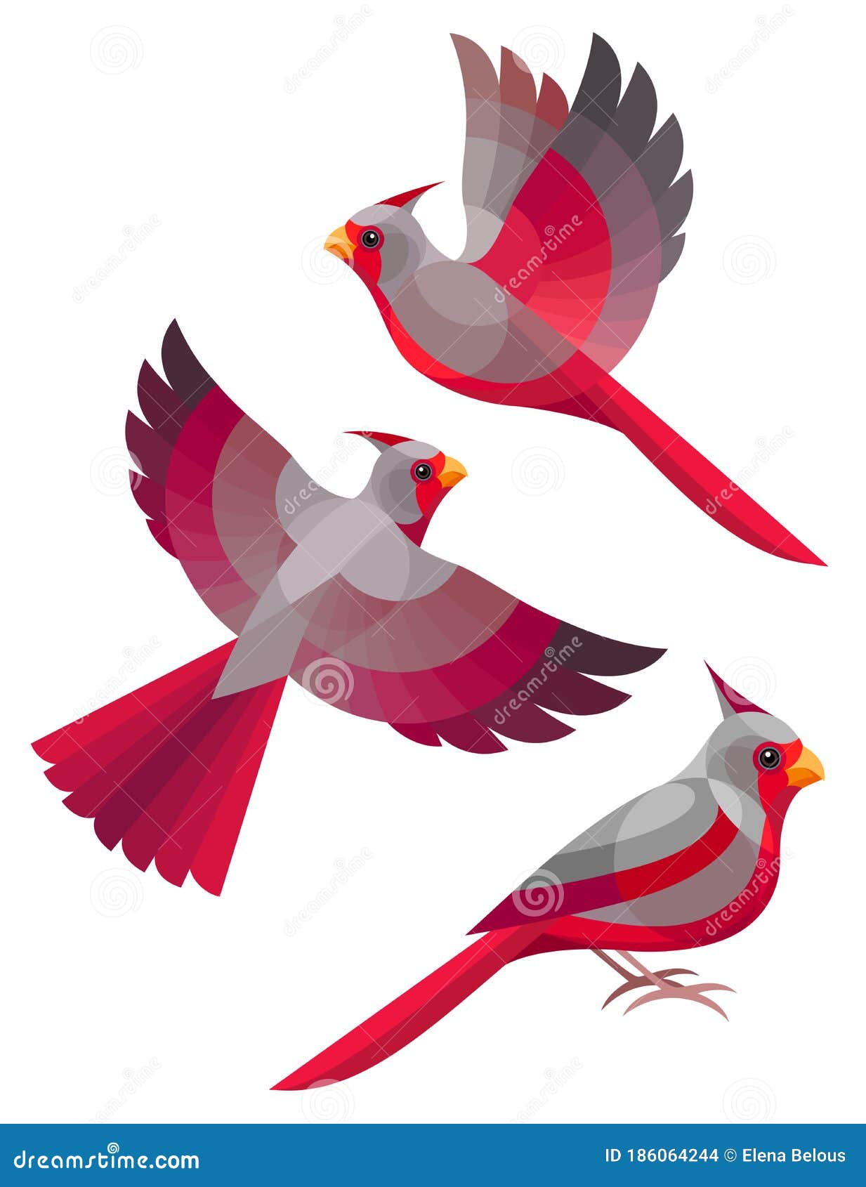 Stylized Birds - Desert Cardinal Stock Vector - Illustration of wild ...
