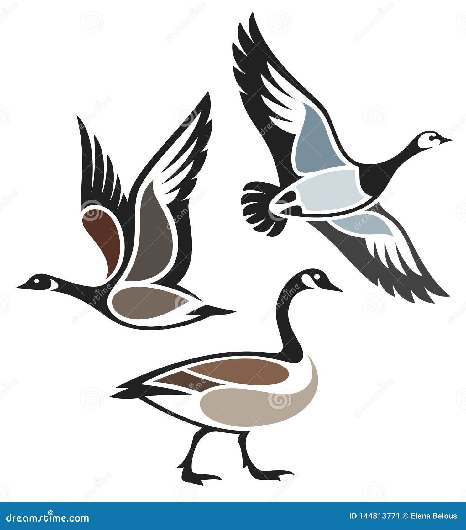 Stylized Birds in flight stock vector. Illustration of flight - 144813771