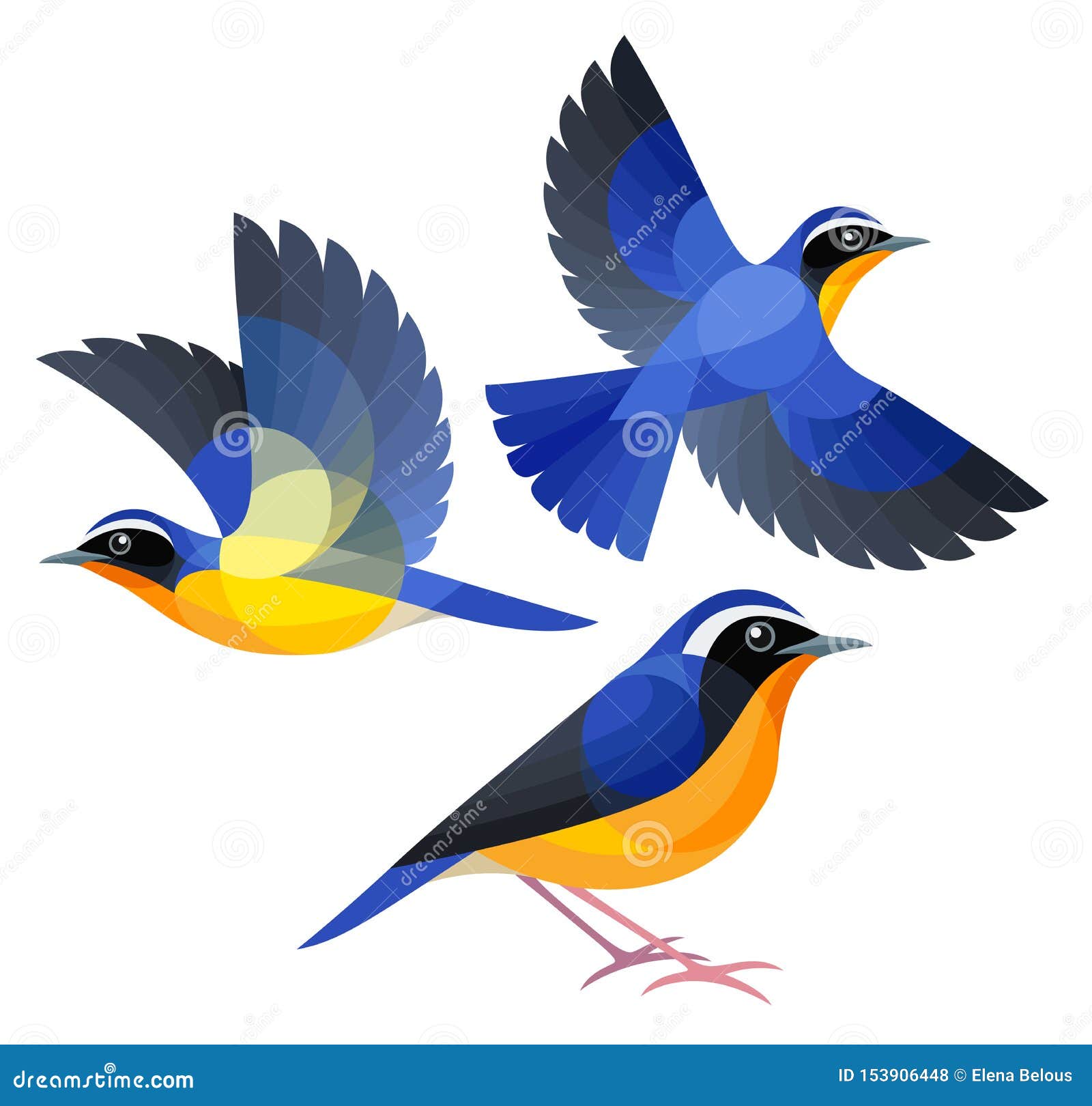 Stylized Birds - Indian Blue Robin Stock Vector - Illustration of white ...