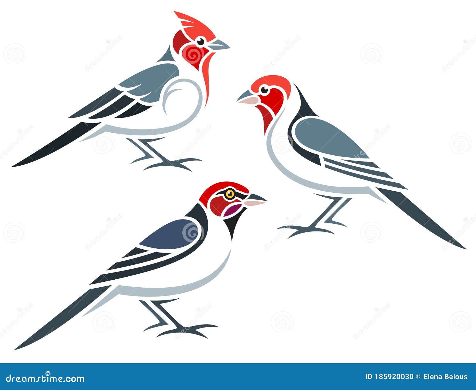 Stylized Cardinals In Flight Cartoon Vector | CartoonDealer.com #185830013
