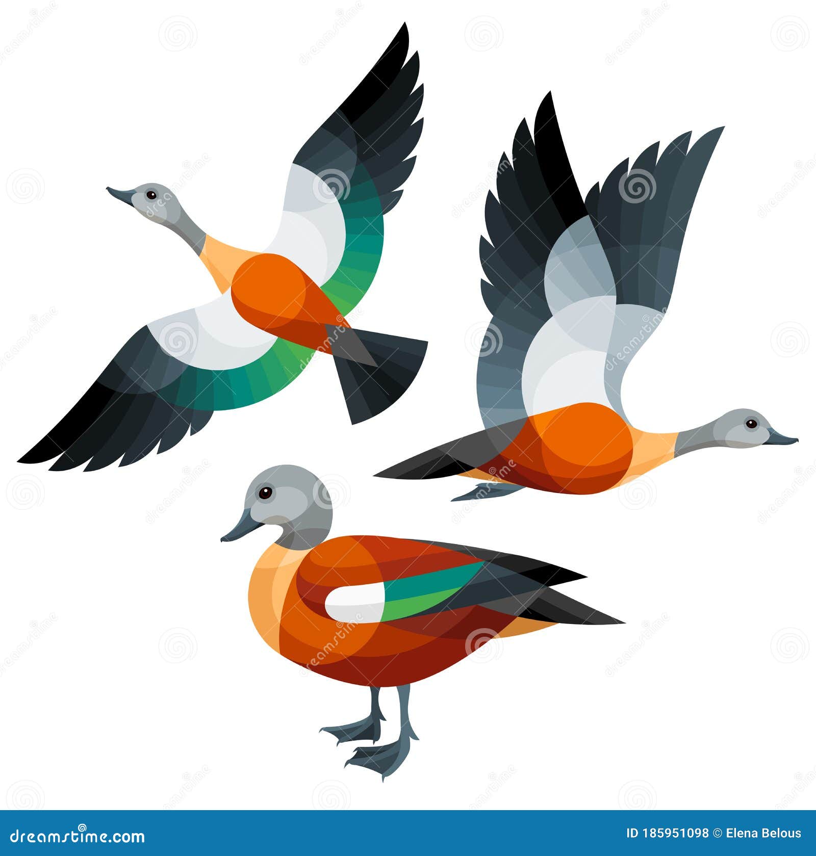 Shelduck Cartoons, Illustrations & Vector Stock Images - 113 Pictures ...