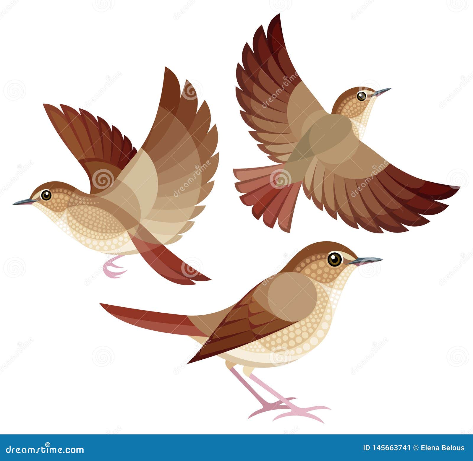 Stylized Birds - Songbird - Vector Illustration Stock Vector ...