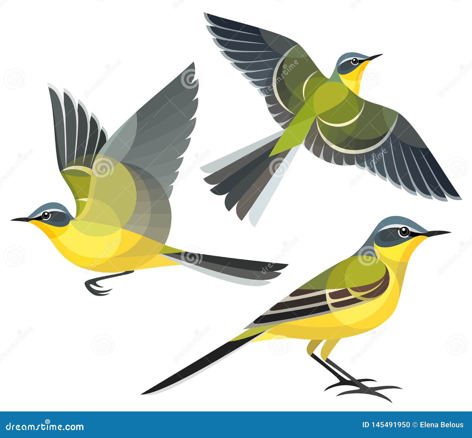 Wagtail Cartoons, Illustrations & Vector Stock Images - 833 Pictures to ...