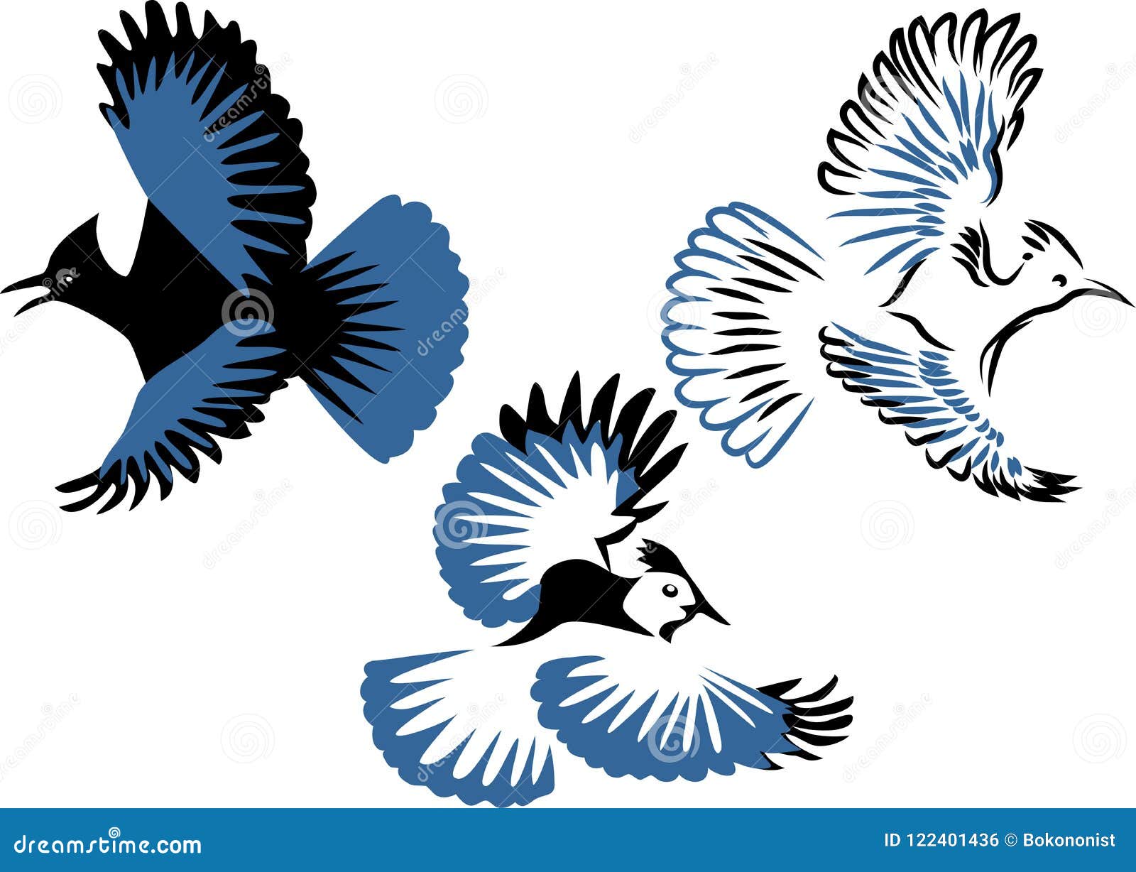 StellerÂ´s jay stock vector. Illustration of blue, bird - 122401436