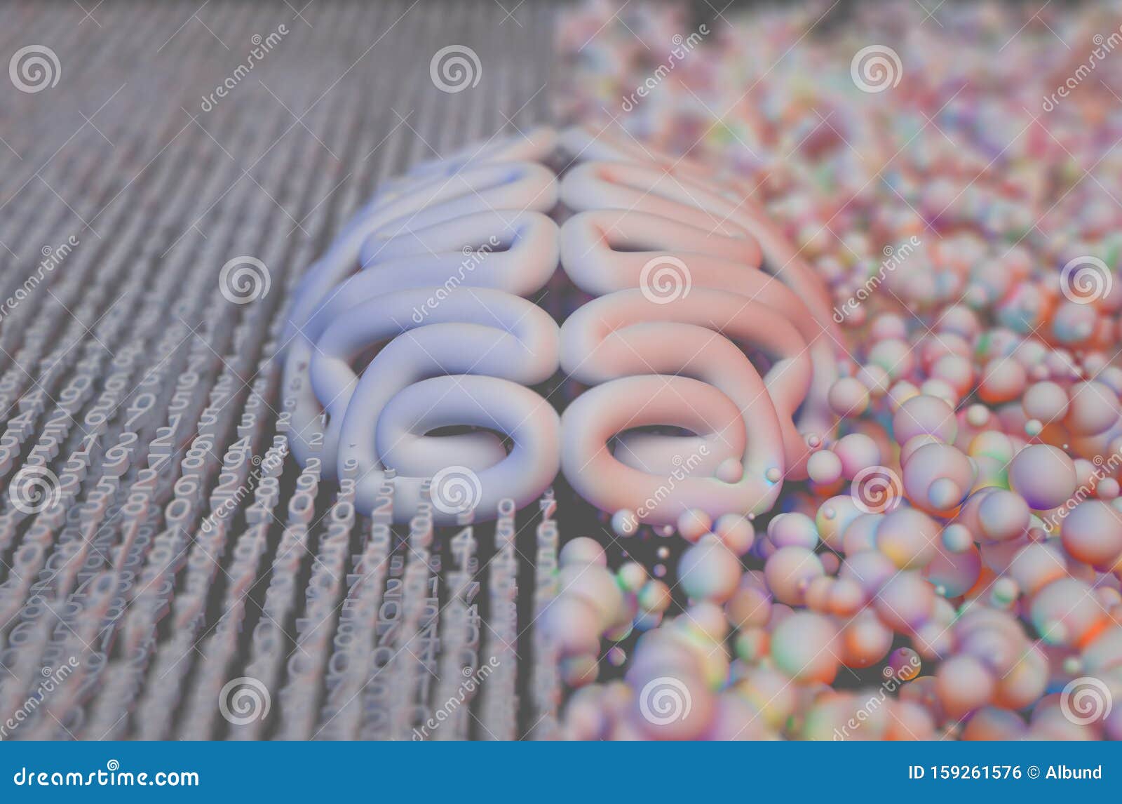 Brain With The Twisted Convolutions, Of The Destruction Of The Brain ...