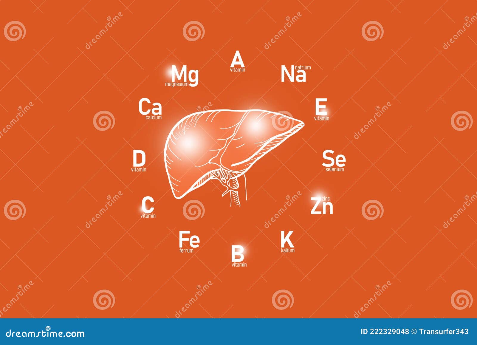 Stylized Clockface with Essential Vitamins and Microelements for Human ...