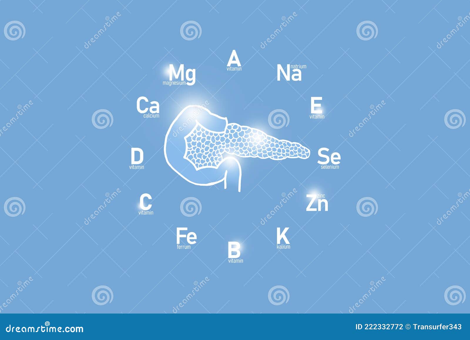 Pancreas Into X-ray Blue Realistic Torso Vector Illustration ...