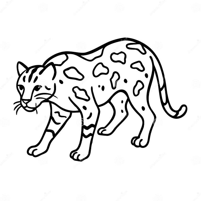 Stylized Clouded Leopard Outline Vector Illustration for Wildlife ...