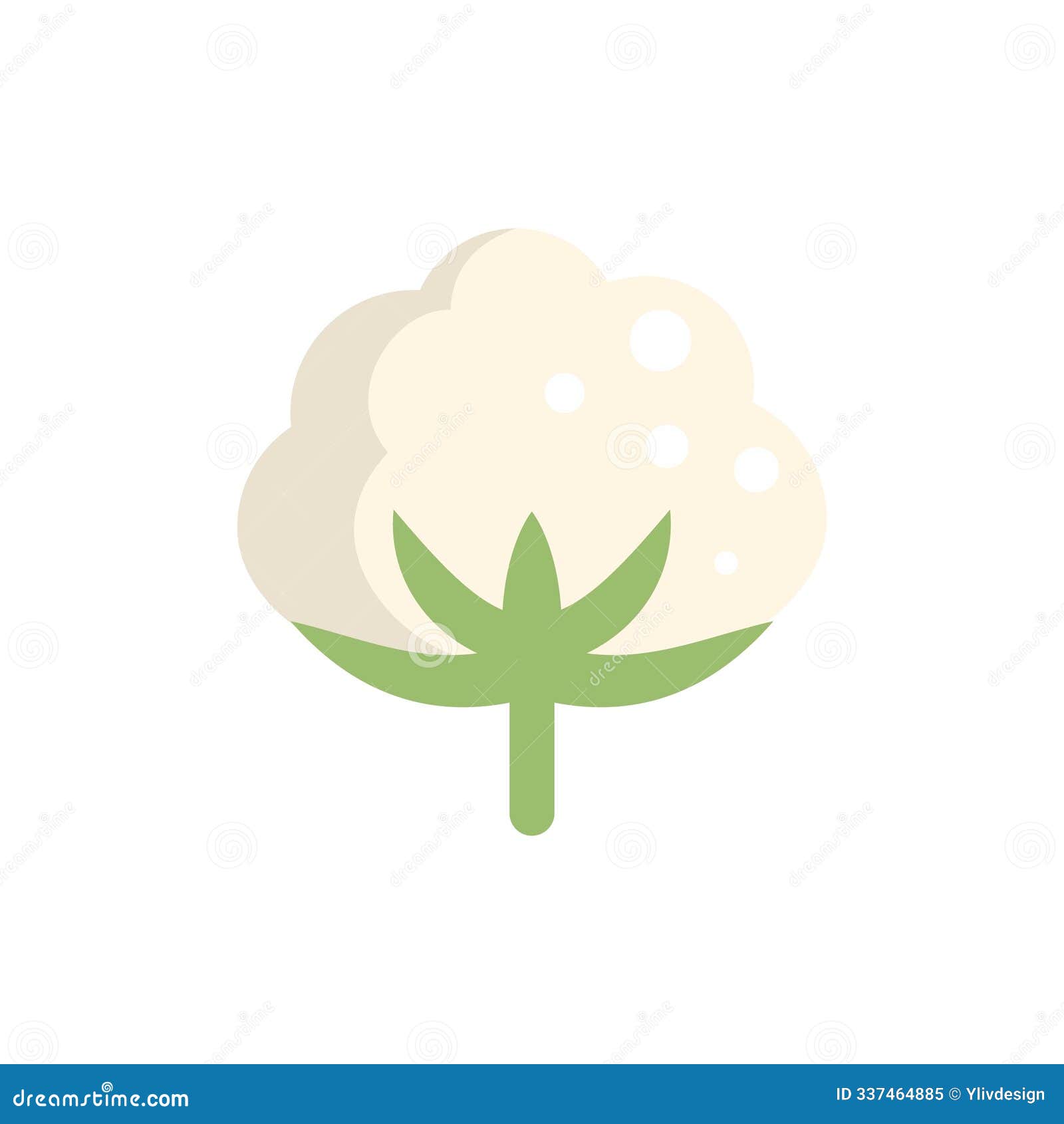 Cotton Plant Growing Showing Fluffy White Cotton Boll Stock ...