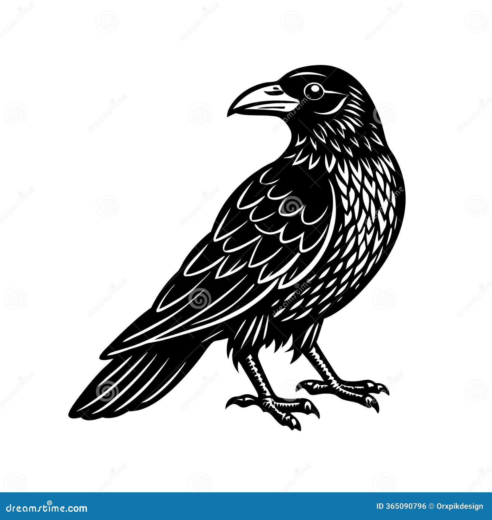 Stylized Crow Vector Set Raven & Bird Silhouette Illustrations ...