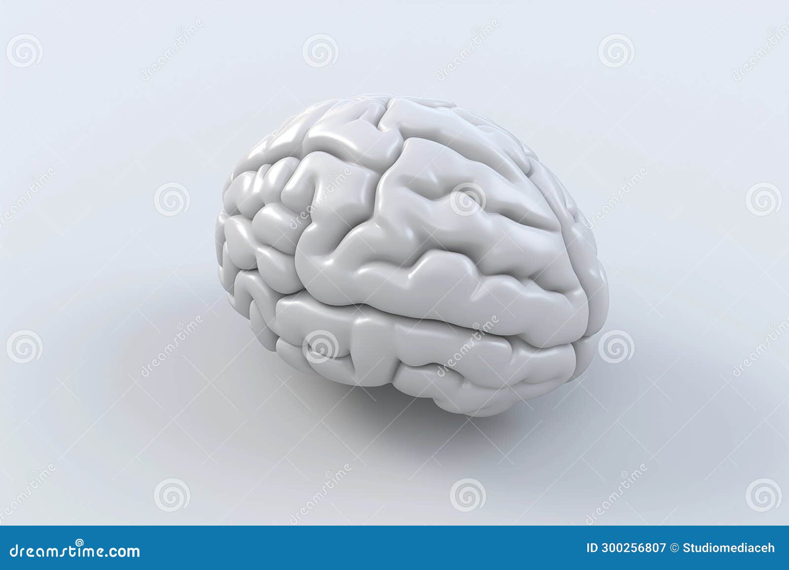Stylized 3D Model of Human Brain on Neutral Background Stock ...
