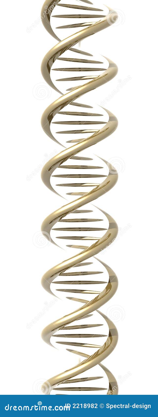 Stylized DNA double Helix stock illustration. Illustration of biology ...